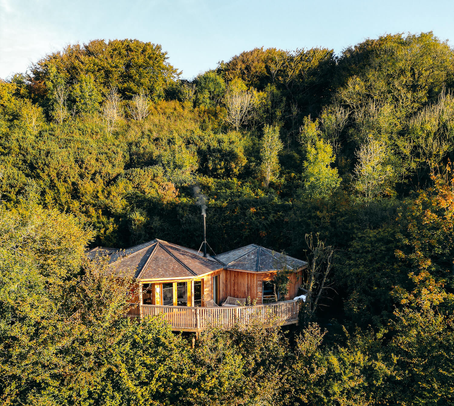 Luxury Dog-Friendly Treehouse Stays in North Devon | Sleepy Owl